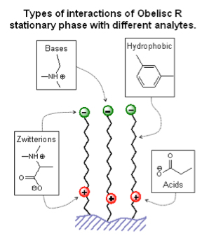 zwitterionic mixed mode stationary phase